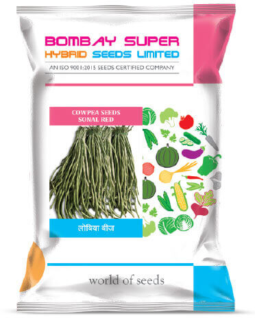 Order Cowpea Seeds Online | High-Quality Cowpea Seeds in India