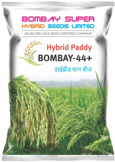 Best Varieties of Hybrid Paddy Seeds That Are Suitable For Farming